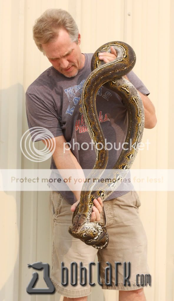 E Midlands - Bob Clark's June 11 trip | Page 2 | Reptile Forums