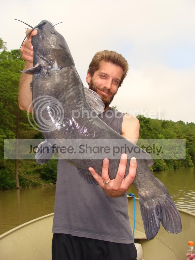 Erie Channel Cats July 6th | Channel 6-8